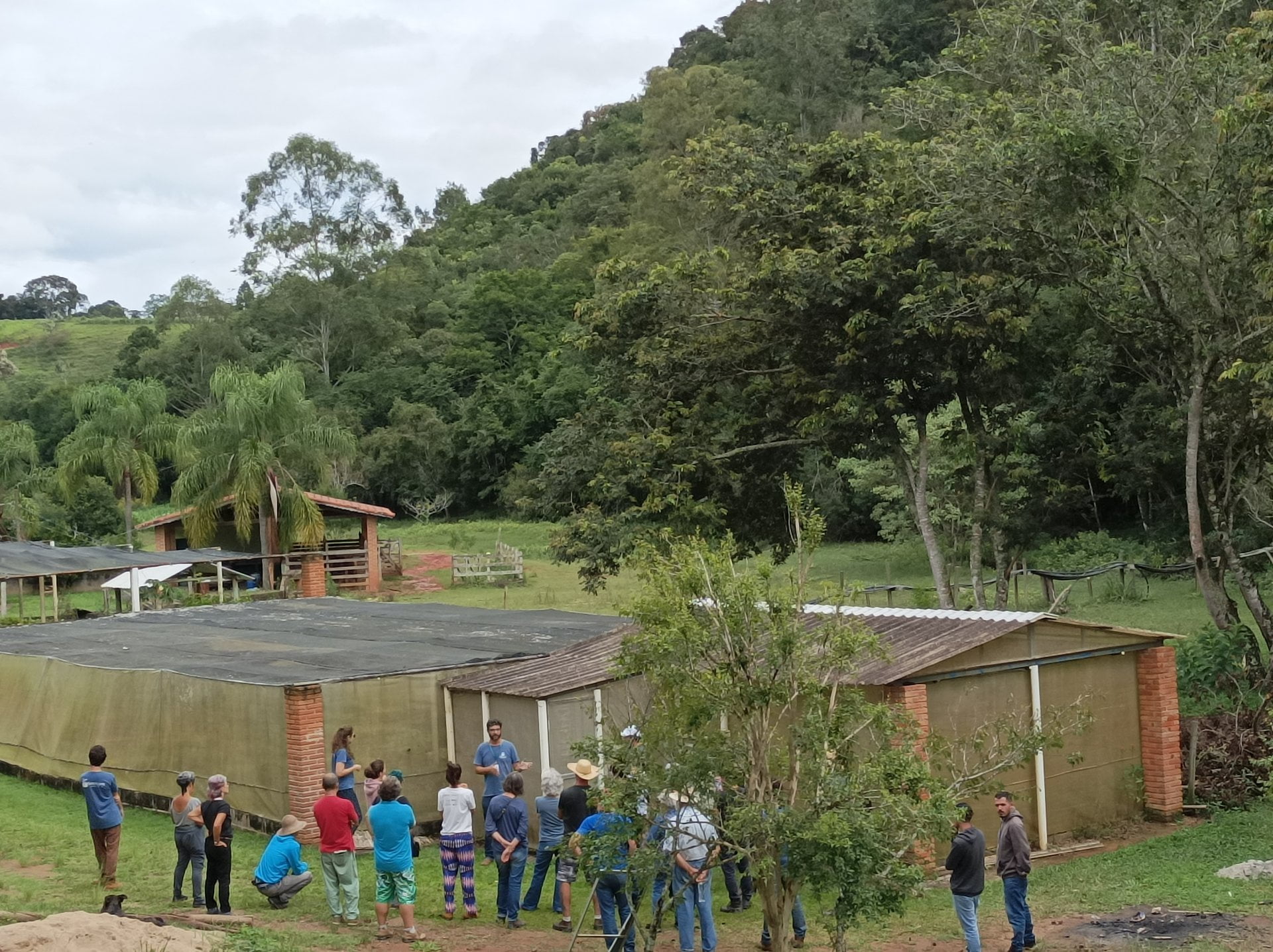 Mudas da Serra: Curso de Produção de Mudas Florestais para Ambientes de ...